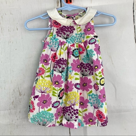 Vera Bradley | Dresses | Vera Bradley Peter Pan Collar Dress | Poshmark